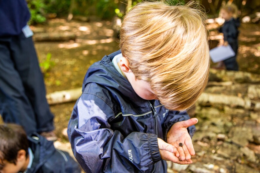 Froebel principles further enrich our excellent practice in Early Years ...