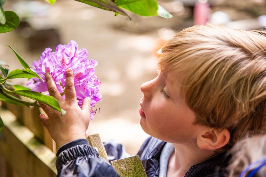 Froebel principles further enrich our excellent practice in Early Years ...